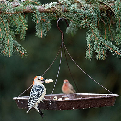 Stokes 3 in 1 Platform Feeder – BirdYard Direct