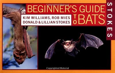 Stokes Beginner's Guide to Bats – BirdYard Direct