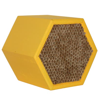 Woodlink Honey Comb Modular Mason Bee House – BirdYard Direct