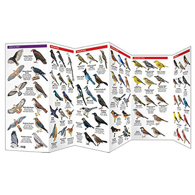 Waterford Press Backyard Birds of North America Booklet – BirdYard Direct