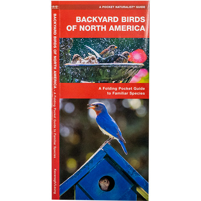 Waterford Press Backyard Birds of North America Booklet – BirdYard Direct