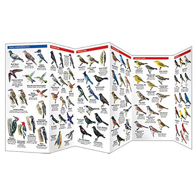 Waterford Press Bird Feeding Basics Booklet – BirdYard Direct