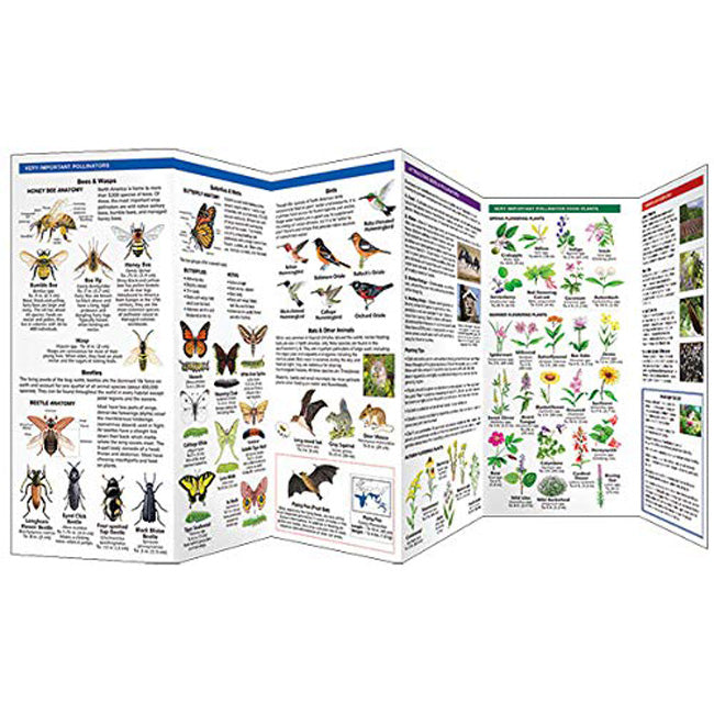 Waterford Press Bees & Other Pollinators Booklet – BirdYard Direct