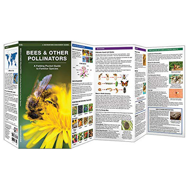 Waterford Press Bees & Other Pollinators Booklet – BirdYard Direct