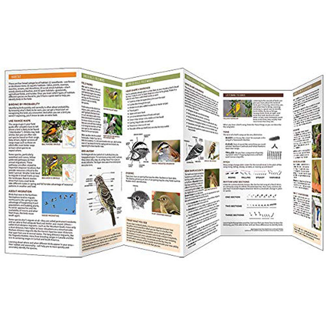 Waterford Press Birding 101 Booklet – BirdYard Direct