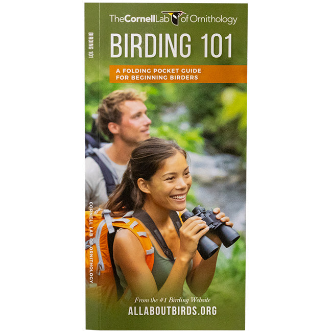Waterford Press Birding 101 Booklet – BirdYard Direct