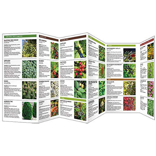 Waterford Press Gardening for Birds Booklet – BirdYard Direct