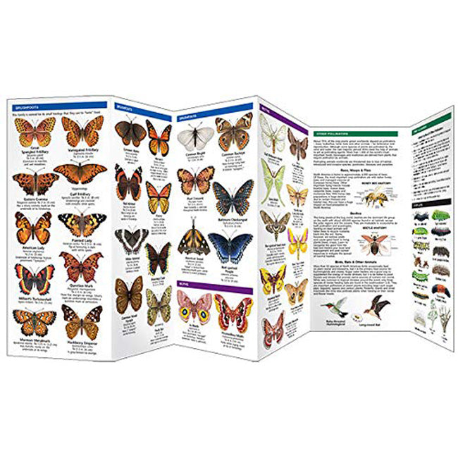 Waterford Press Butterflies & Pollinators Booklet – BirdYard Direct